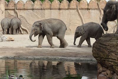 Startseite - Zootierpflege