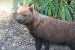 Startseite - Zootierpflege